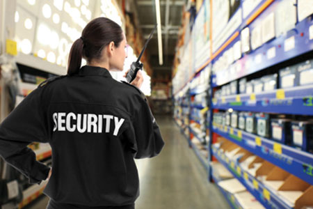 Hudson Security Solutions